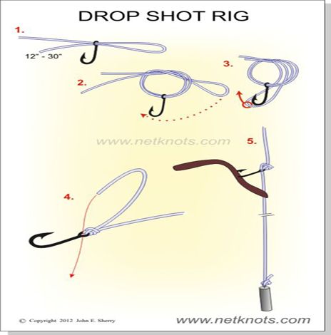 Montature: Drop Shot | Il blog della pesca